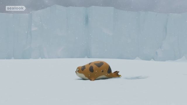 Sealy Doesn’t Share Food!ㅣSEALOOKㅣEP.15