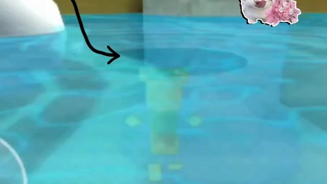 Как найти все спрятанные стикеры в черепашьем городе 🤩