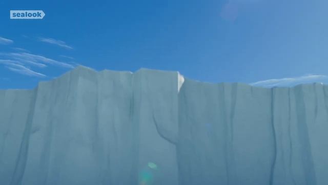 Trick ShotㅣSEALOOKㅣEP.14