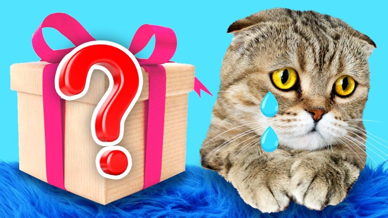 КисКис: Киса грустит... Необычный подарочный бокс для неё 🎁💖