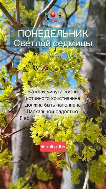 Повод для радости каждый день!