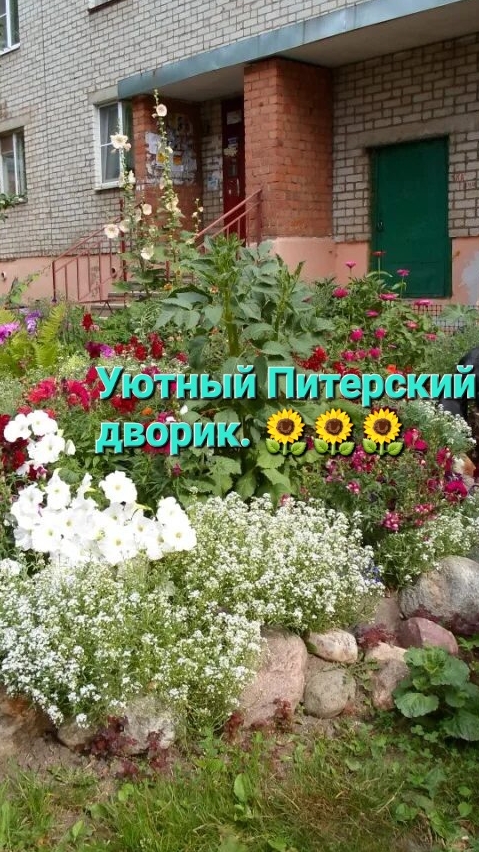 Уютный Питерский дворик.