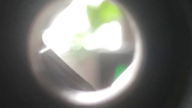 Головка на 21 вид на рай