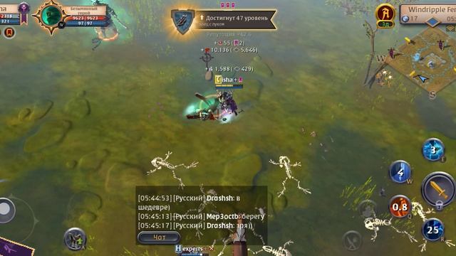 Альбион прогулка с луком