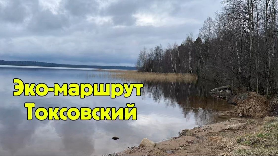 Прогулка эко-маршрут Токсовский