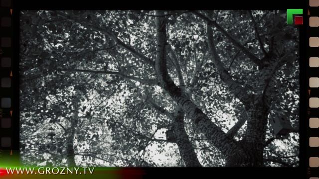 Иэс.Взгляд в прошлое. Алиев Иса.. Эфир от 04 03 2026