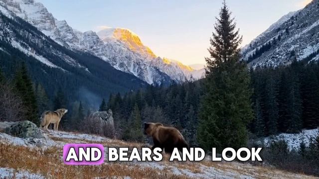 Academy Stars 2. Zoom around the world song. Unit 1.