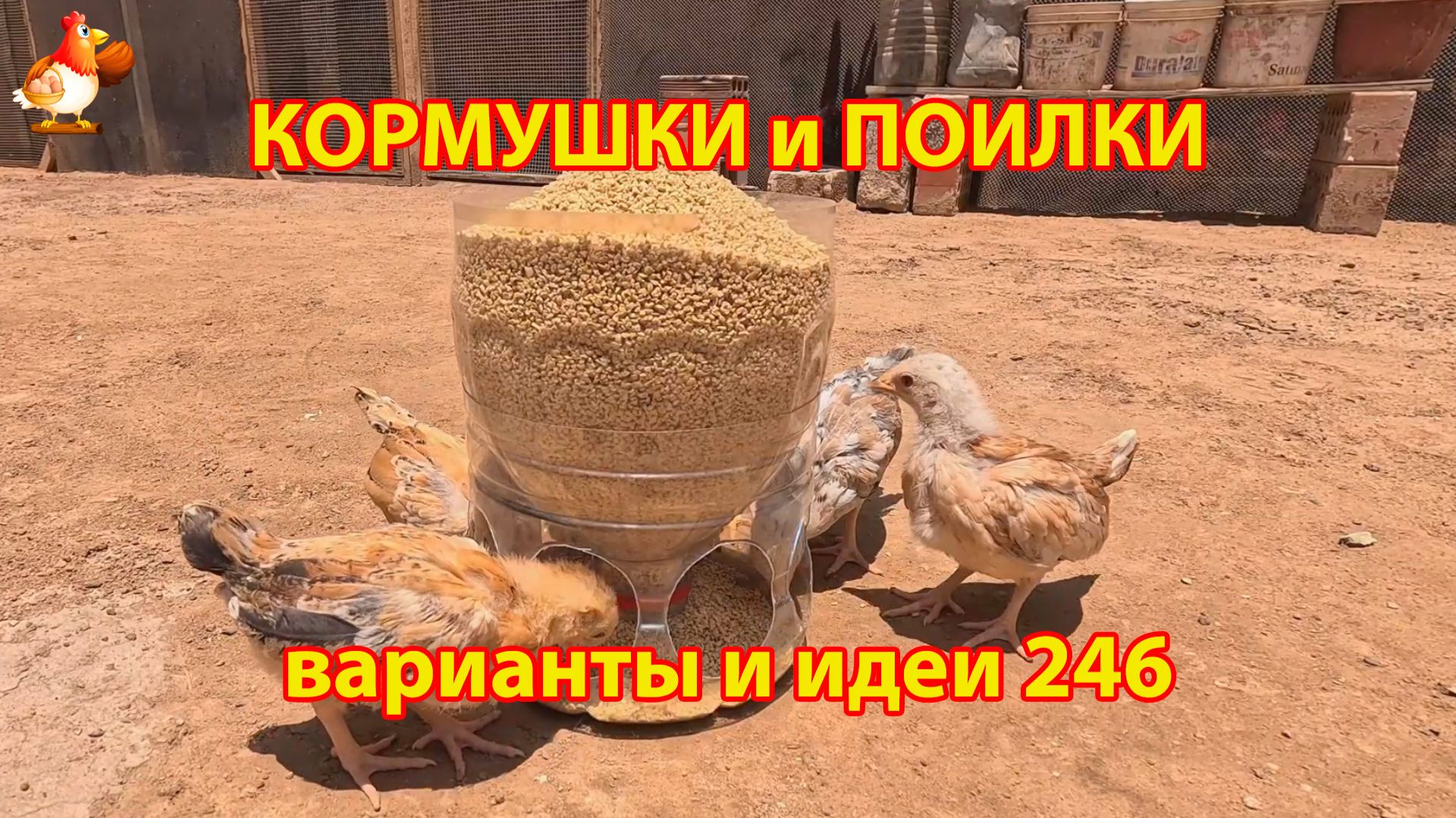 Кормушки и поилки для кур своими руками 246 🪚✂️ Пошаговая инструкция как сделать 🐔 🐓❣️