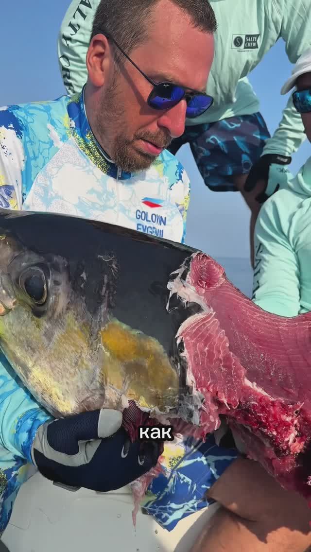 АКУЛЫ СОЖРАЛИ ОГРОМНОГО ТУНЦА 90 КГ!