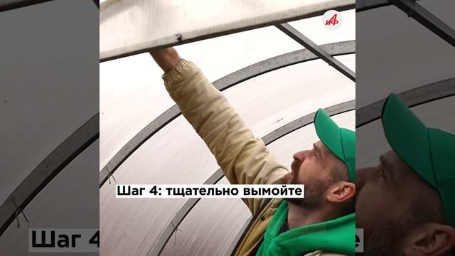 Как подготовить теплицу к сезону? Пошаговая инструкция от опытного садовода