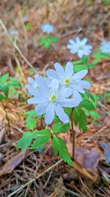 💖Всё к лучшему