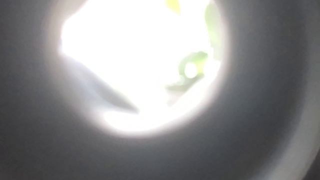 Как увидеть рай с помощью головки на 21