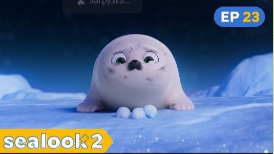 Baby Seal Home Alone (Part 2)  SEALOOK S2 EP.23