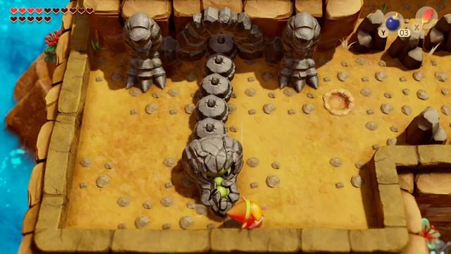 Сразился с черепахой