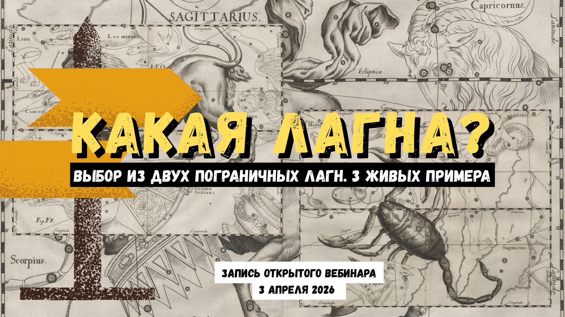2026-04-03 Открытый вебинар. Выбор Лагны