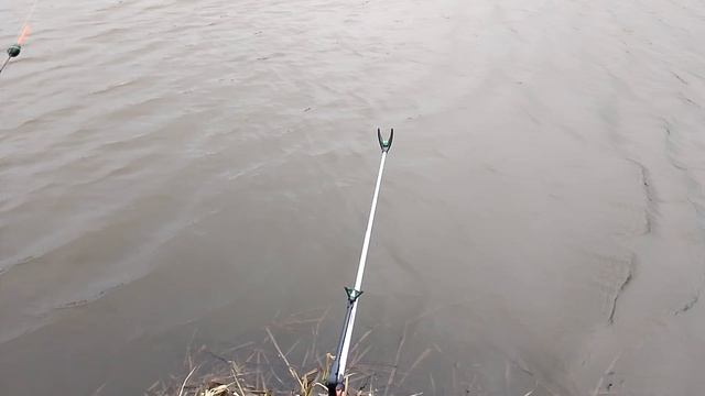 Сегодня порыбачил на короткую удочку🎣 Насадка тесто, прикормка дробленка. Клёв вялый.