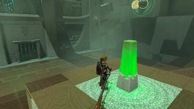 Анэдамимика