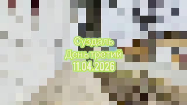 Суздаль 3. 11.04.2026