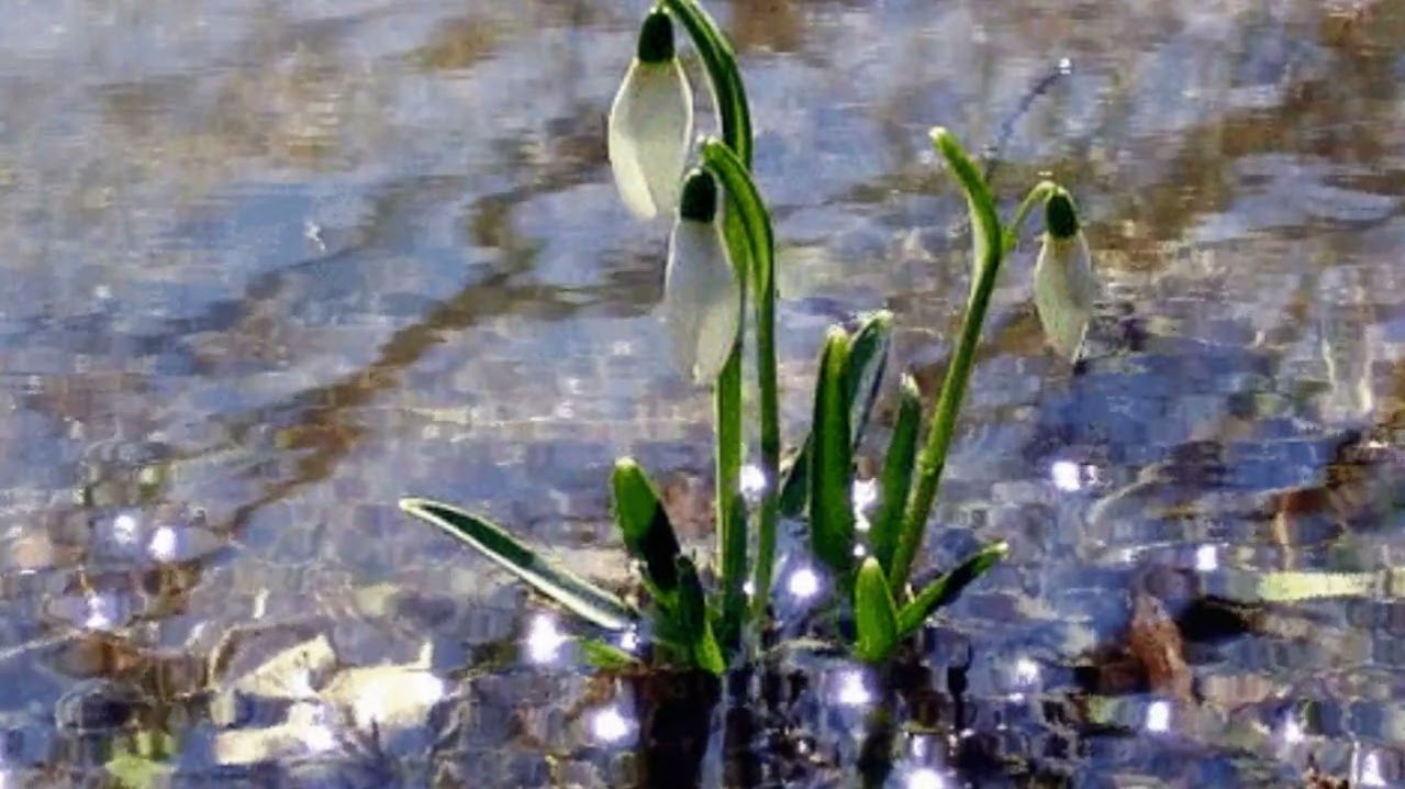 «По весенней воде»