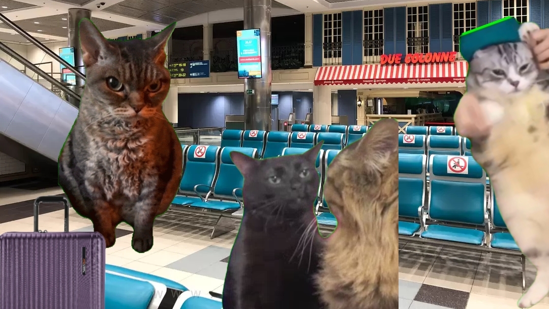 Путешествие в Волгоград КОТ МЕМЫ Первая Часть.