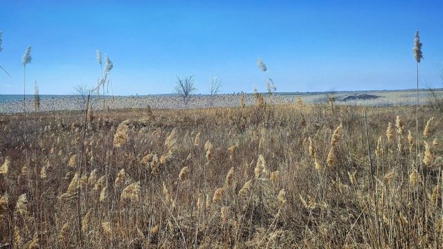 Весна в степи.Спокойная фоновая музыка для отдыха и расслабления