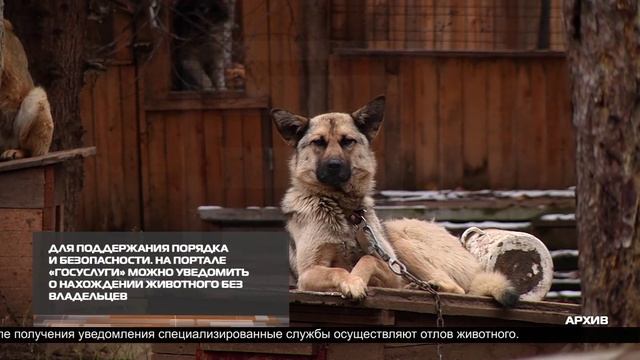 НОВОСТИ ИРТ 08-04-2026