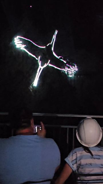 РАСУЛ ГАМЗАТОВ - Журавли