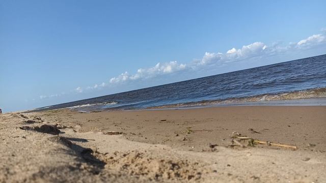 Песчаное побережье Финского залива