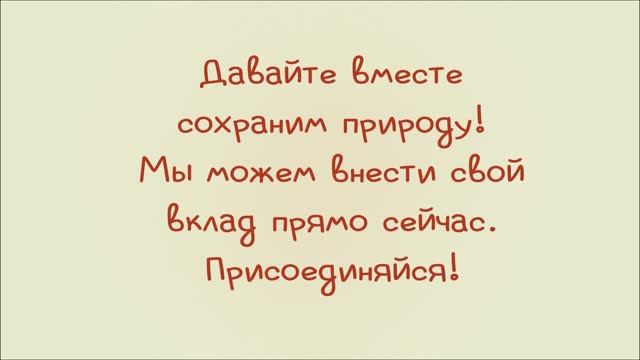 Ролик-победитель конкурса «Вторая жизнь пластика» от студентки СПбГУПТД Анны Жерлициной