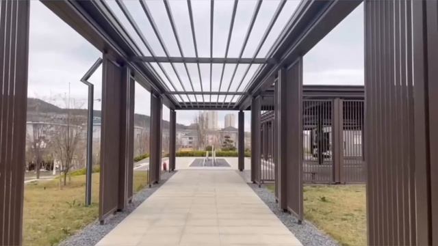 Экономисты Далянь