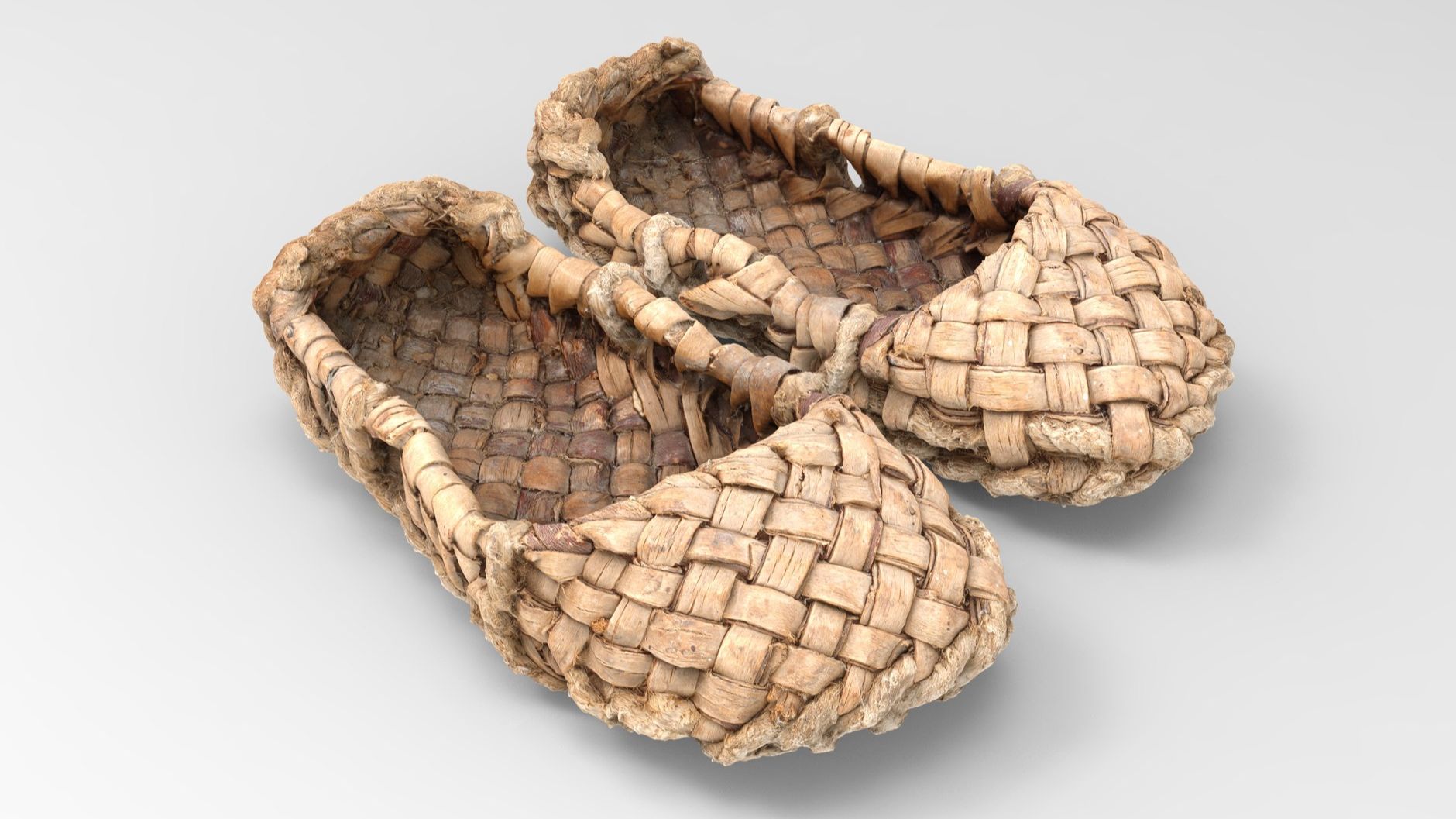 ПОЧЕМУ МОИ ПРЕДКИ ХОДИЛИ В ЛАПТЯХ