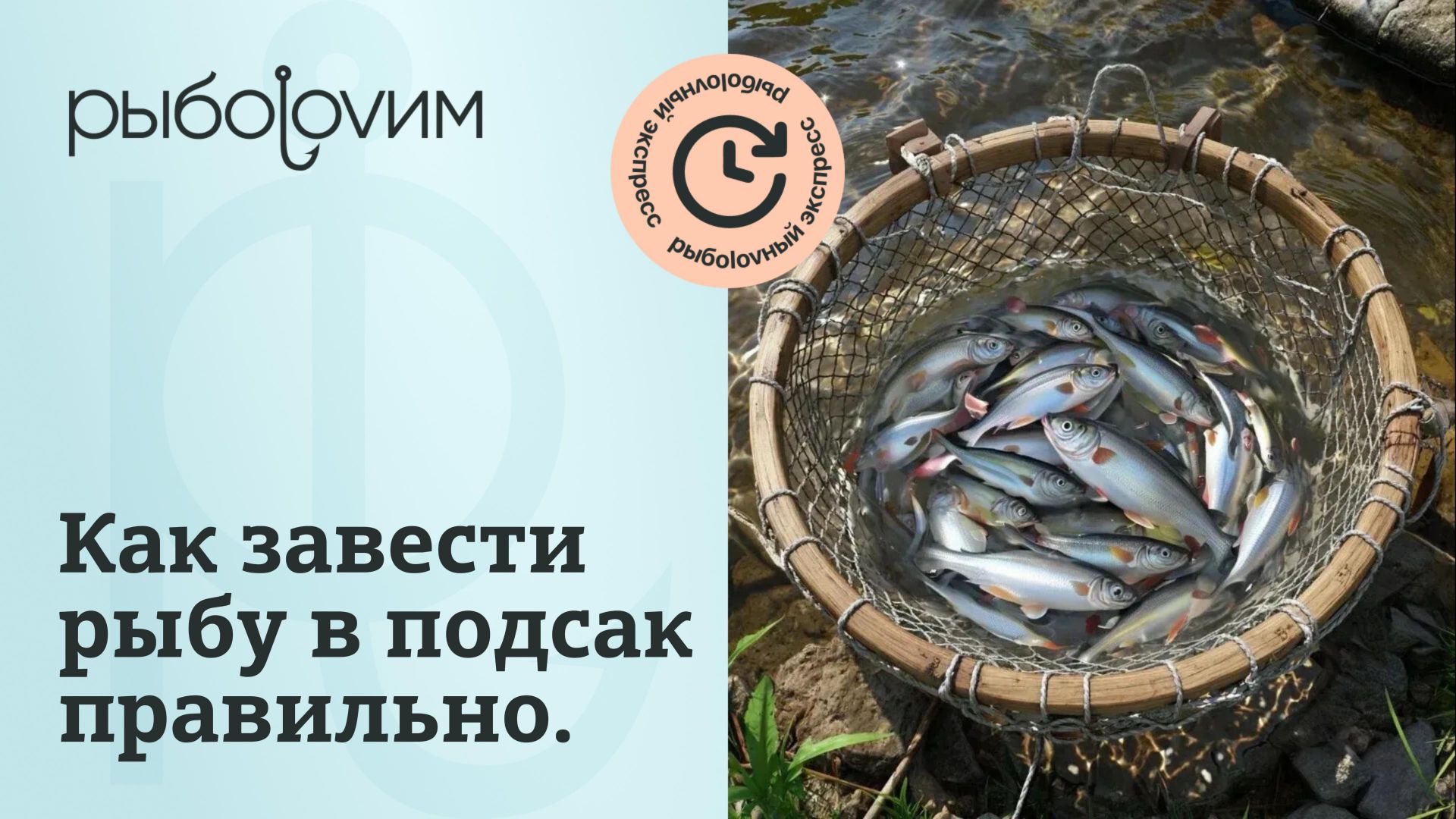 Как правильно завести рыбу в подсак. Какие подсачеки бывают.