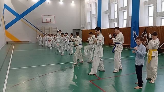 Видео Т5
