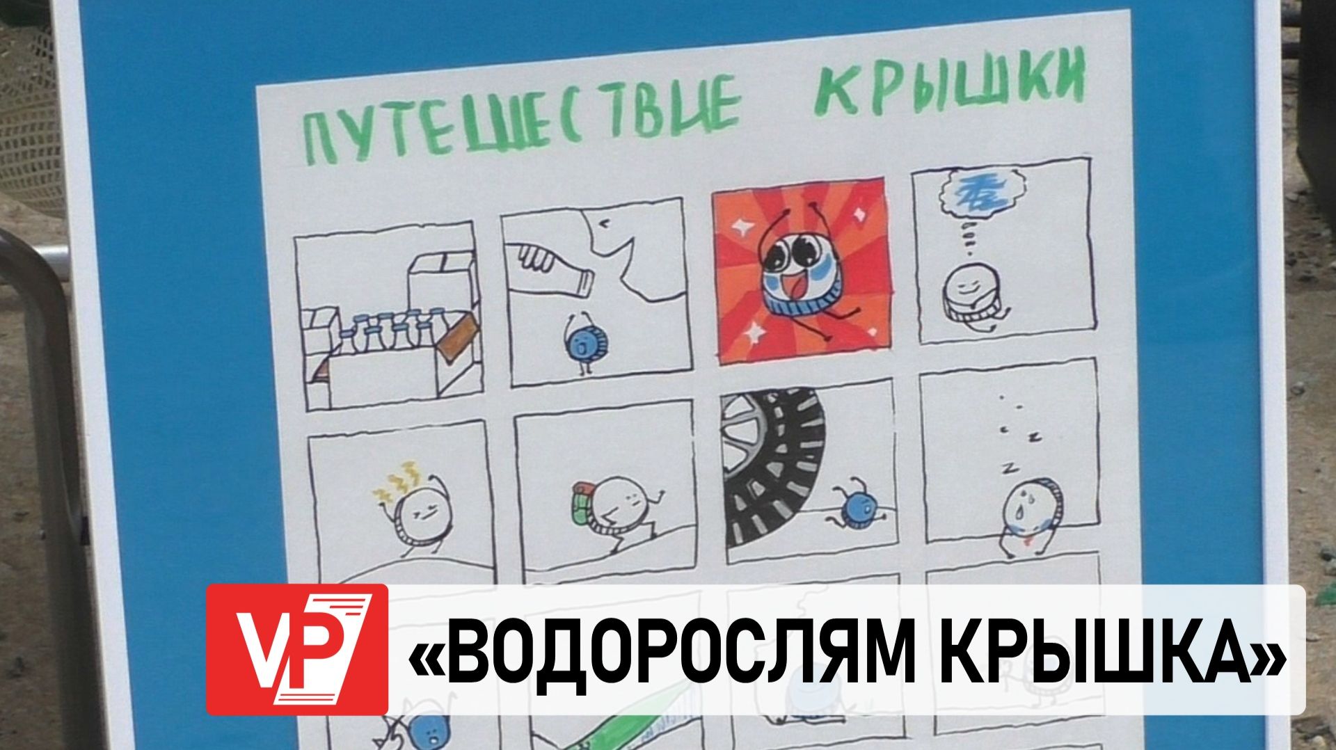 СВЫШЕ 10 ТЫСЯЧ МАЛЬКОВ САЗАНА ВЫПУСТИЛИ В ВОЛГУ ВОЛГОГРАДСКИЕ ШКОЛЬНИКИ