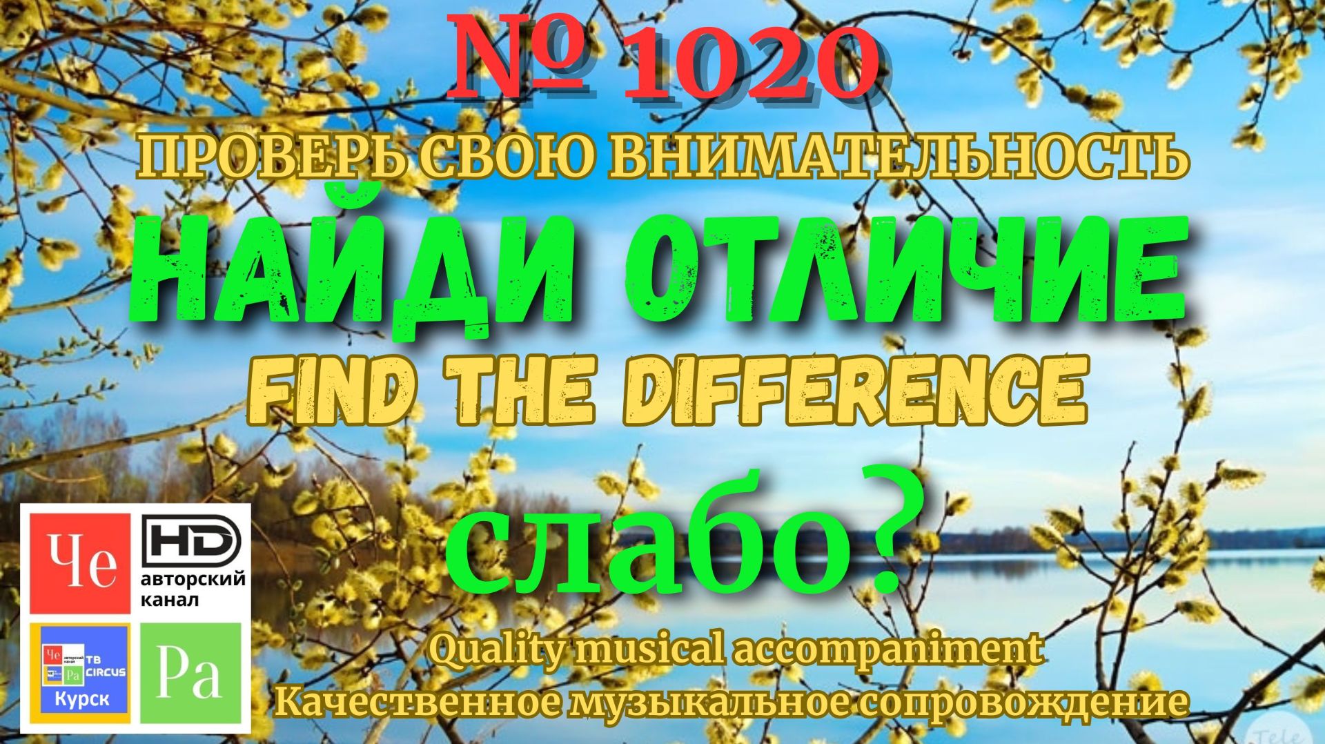 "Найди отличие" / "Spot the Difference"_ выпуск  1020