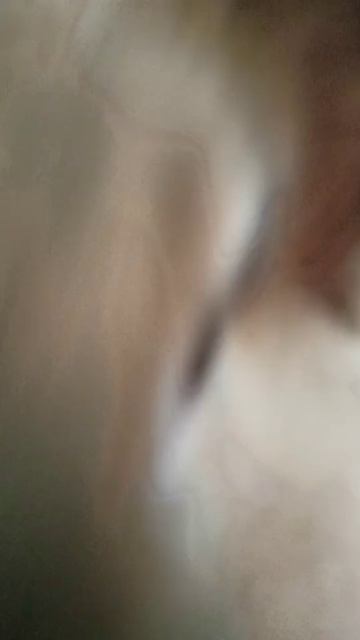 Вас обнюхали  и  поцеловали  :)