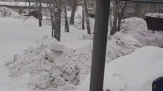 ШЕЛТИ, уборка снега и котики!