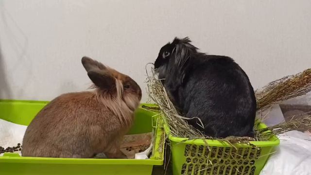 Вместе вкуснее и веселее