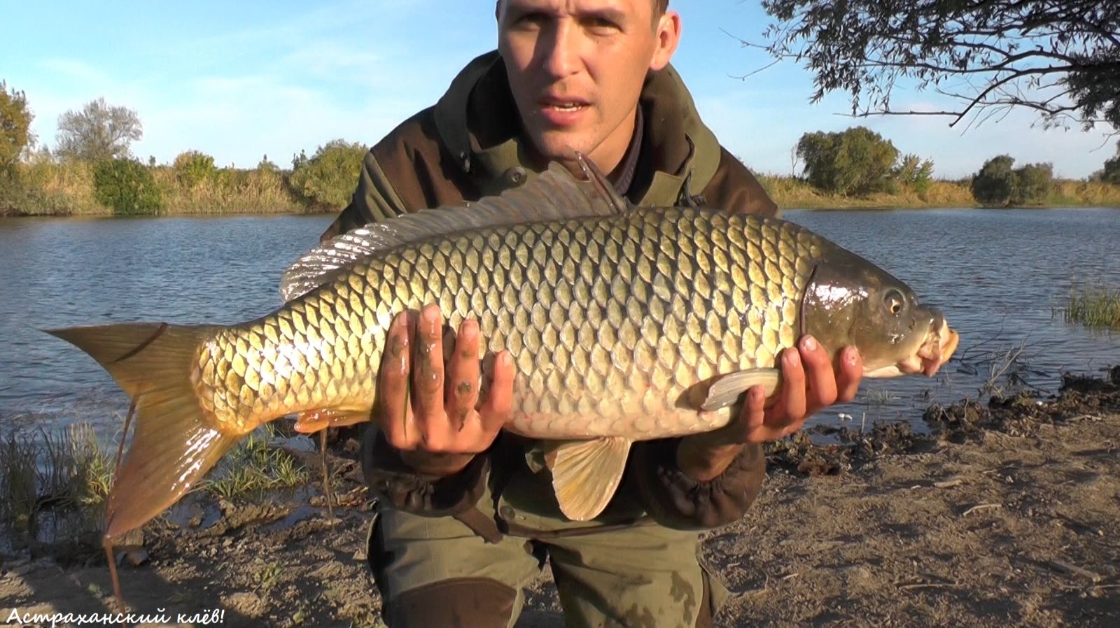 КРУПНЫЙ САЗАН, МОЩНЫЕ поклевки! На закидушку, макушатник! Рыбалка Астрахань!