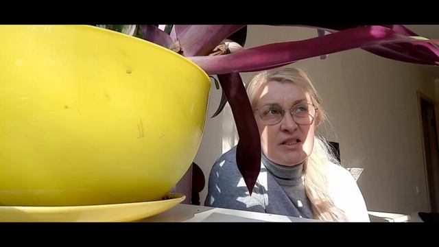 Евдокию Татьяновна забирают и возвращают через 3 дня!