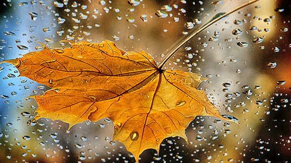 Песни на мои стихи - Осенний блюз... В стиле Регги.