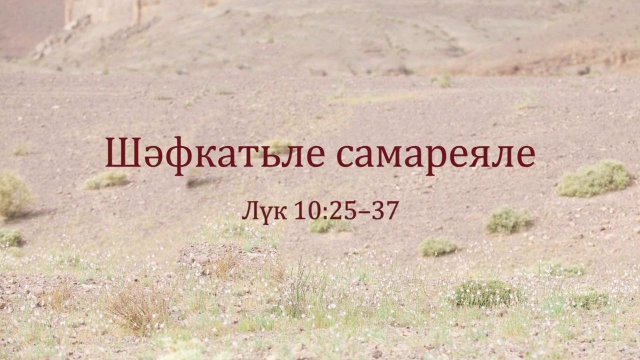 Шәфкатьле самареяле