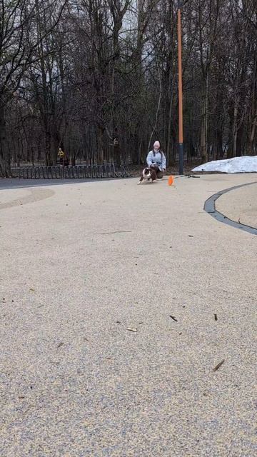 АО Плюша - первые роллы