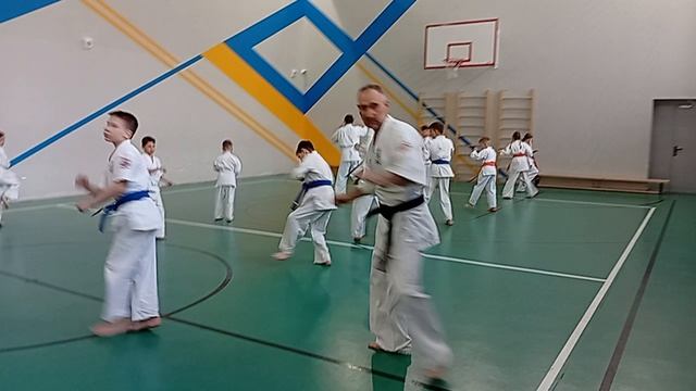 Видео Т1