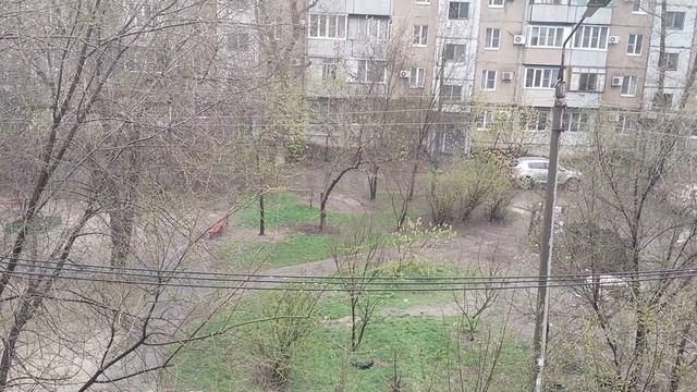 #Shorts  #Сон #Наяву