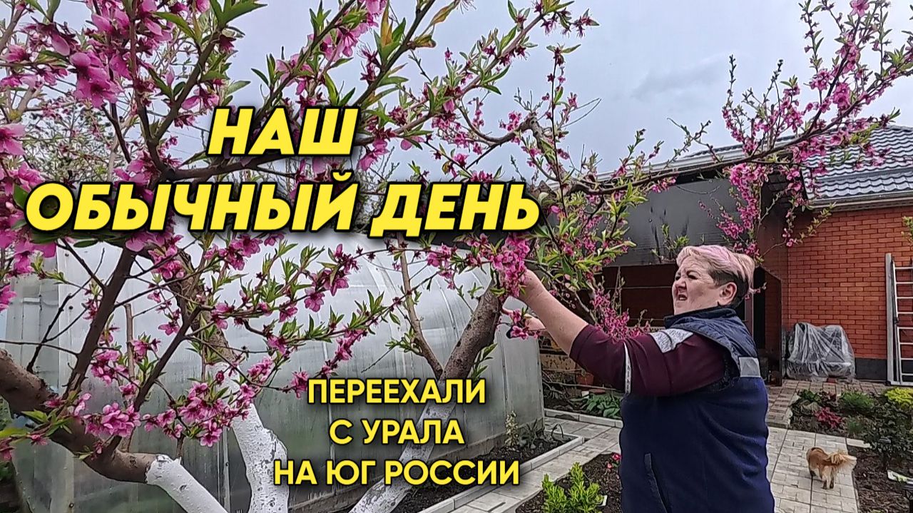 1124 Жизнь после переезда на юг/Обзор пылесоса/Уральцы на Кубани/