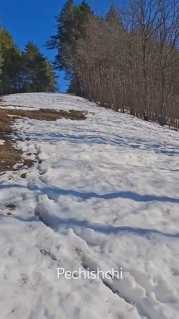 Лес, апрель и экстренный финиш на подъёмнике 🎿🌲 #travel #nature #snow #winter #drone