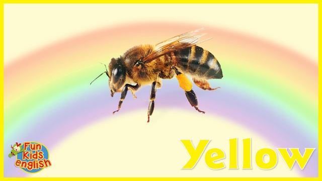 Yellow Song ColorsSong for Kids