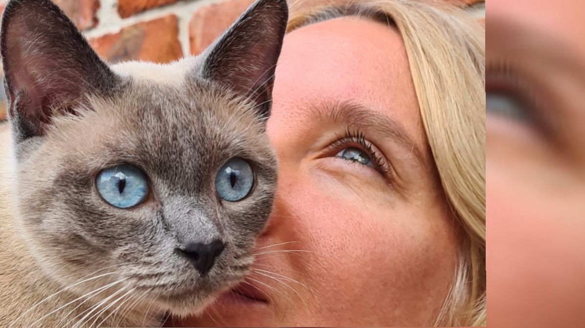 Блюбэлла Сапфир Меколь