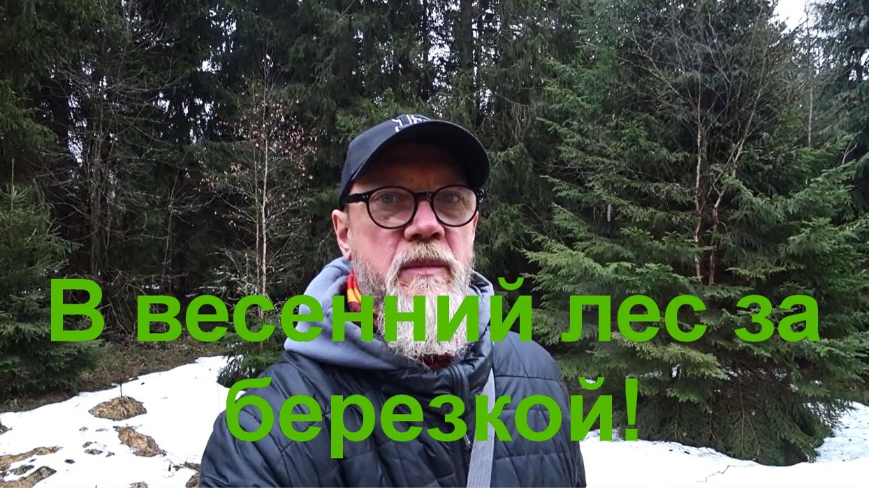 В весенний лес за березкой!